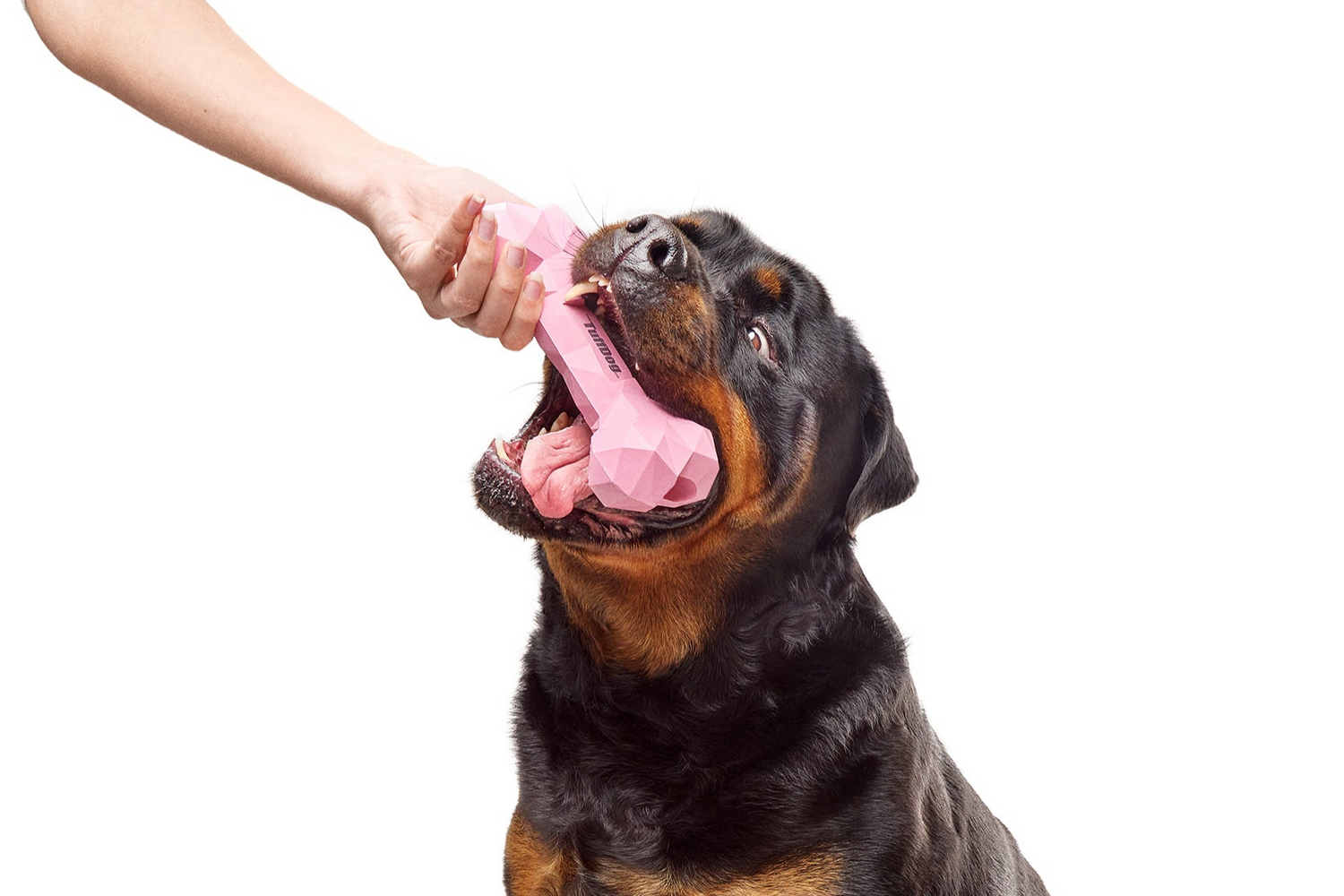 The TuffDog co – The TuffDog co